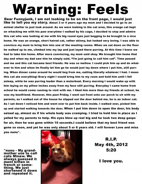 WARNING FEELS - Funny jokes, pictures and animations